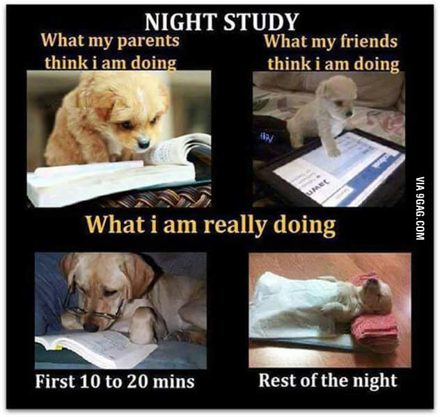 Late night studies - 9GAG