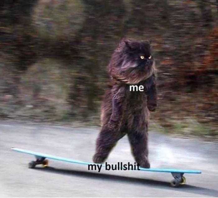 Back on my bullshit.. - 9GAG
