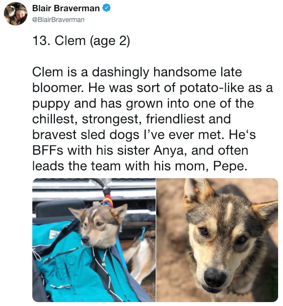 Musher Introduces Her 20 Sled Dogs With Colorful Personalities - 9GAG