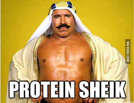 Protein Sheik Memes