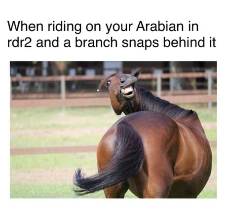 Boah Meme That Is All, Good Day And Have This Meme I Made ...