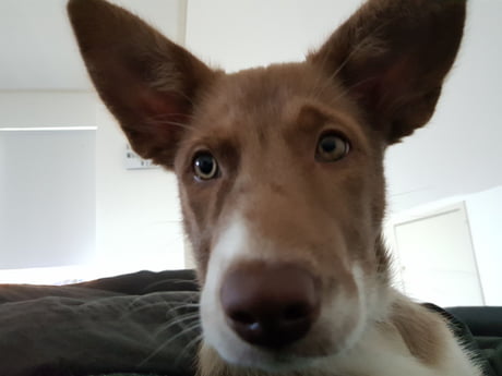 Best Funny front camera Memes - 9GAG