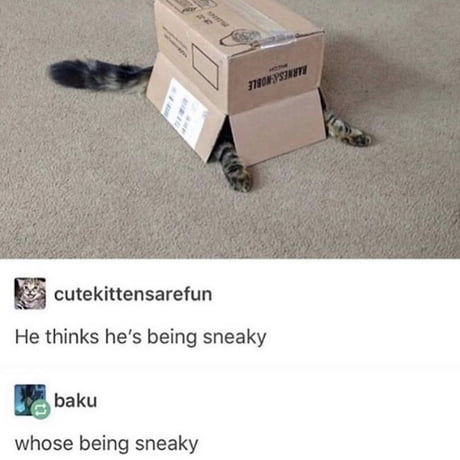Empty Box Memes Every Time. Next Time Save Money & Just Buy An Empty