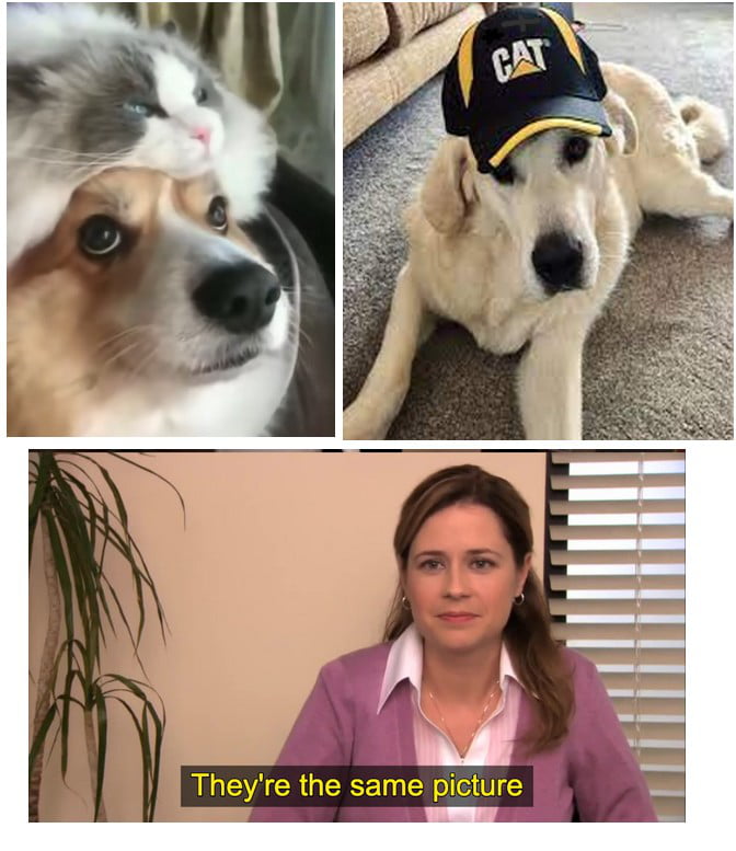 Corporate Needs You To Find The Difference Between These Two Pictures corporate-needs-you-to-find-the-difference-between-these-two-pictures