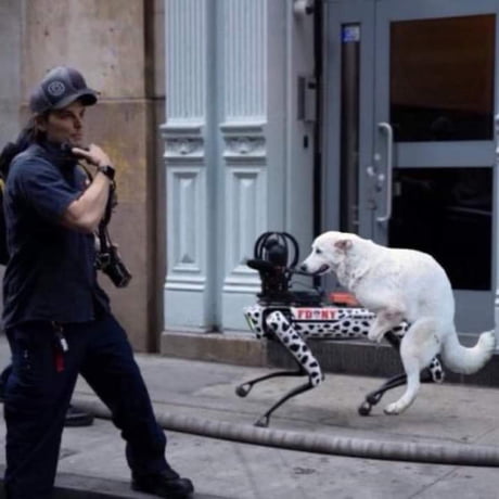 Best Funny boston dynamics Memes - 9GAG
