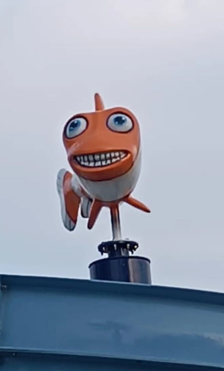 Best Funny nemo Memes - 9GAG