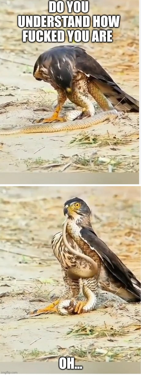 Best Funny risk Memes - 9GAG