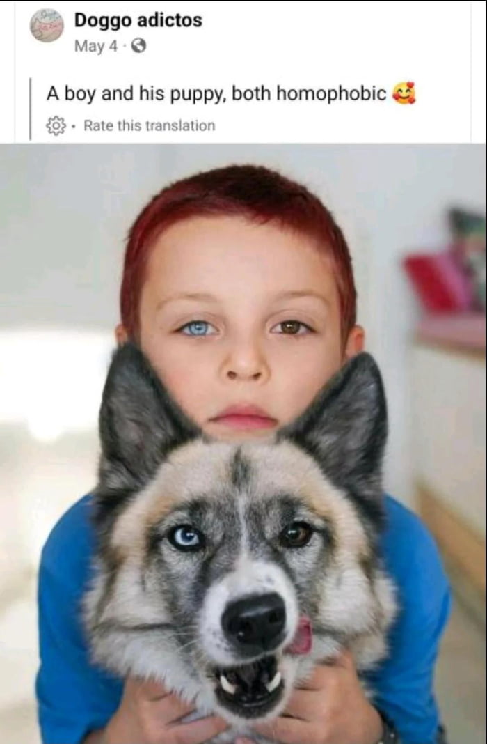 Say what now? - 9GAG