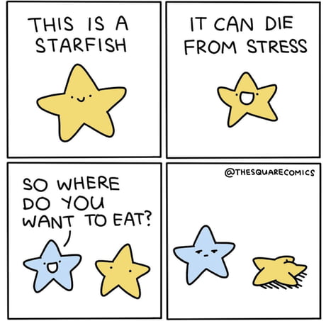 Best Funny starfish Memes - 9GAG