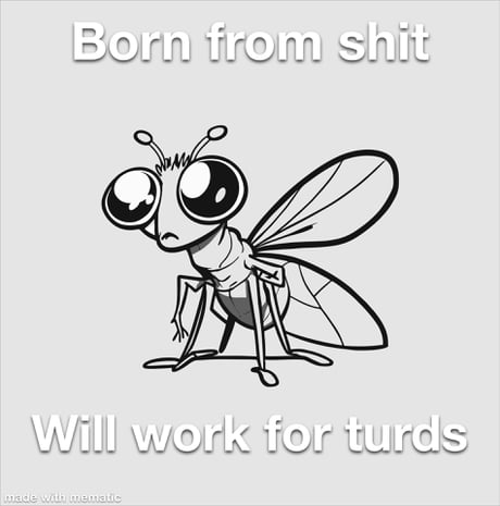 Best Funny fly Memes - 9GAG