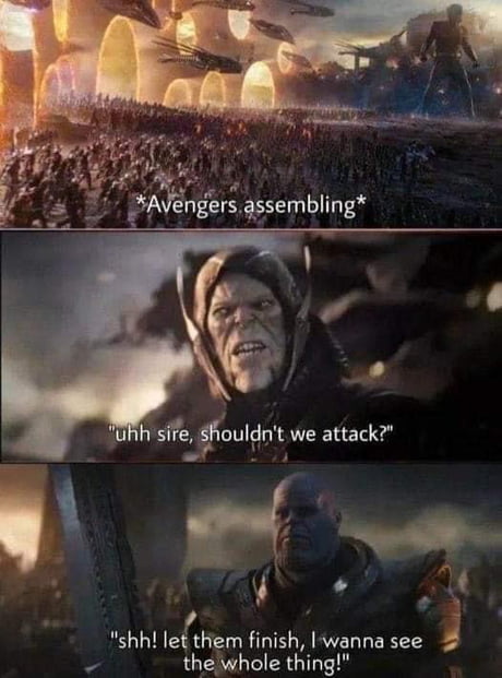 Best Funny norwegian forest cat Memes - 9GAG