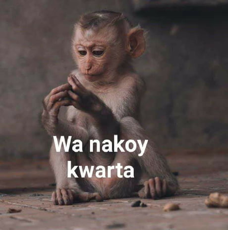 Visayan Memes 12 Bisaya Quotes Ideas | Bisaya Quotes, Quotes, Tagalog