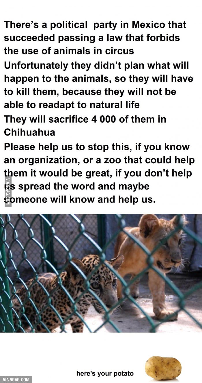 Please spread this everywhere - 9GAG