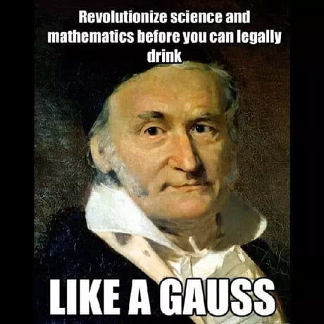 Memes Gauss Human Verification To The Next Level · ProgrammerHumor.io