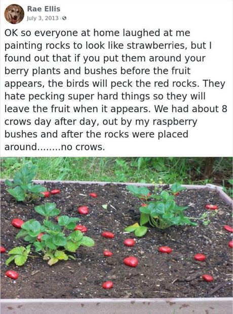 That's the most evil thing I can imagine.. - 9GAG