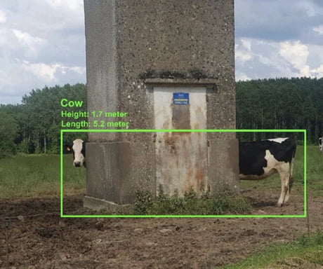 Do you have any idea of what it is? - 9GAG