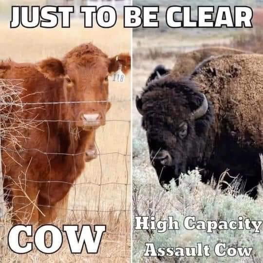 Don't pet the fluffy assault cows - 9GAG