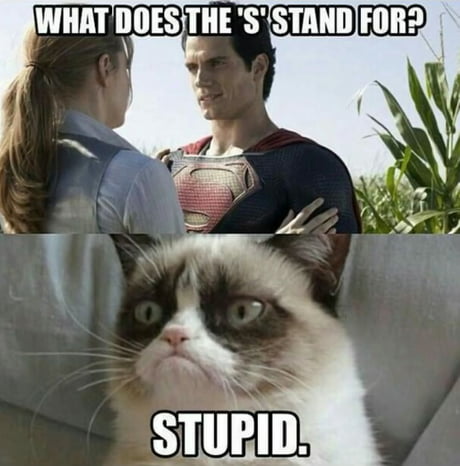 What Does The S Stand For Meme