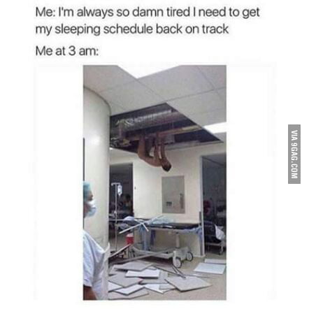 Patient Hanging From Ceiling Meme | Shelly Lighting