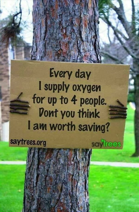 Funny Save The Trees