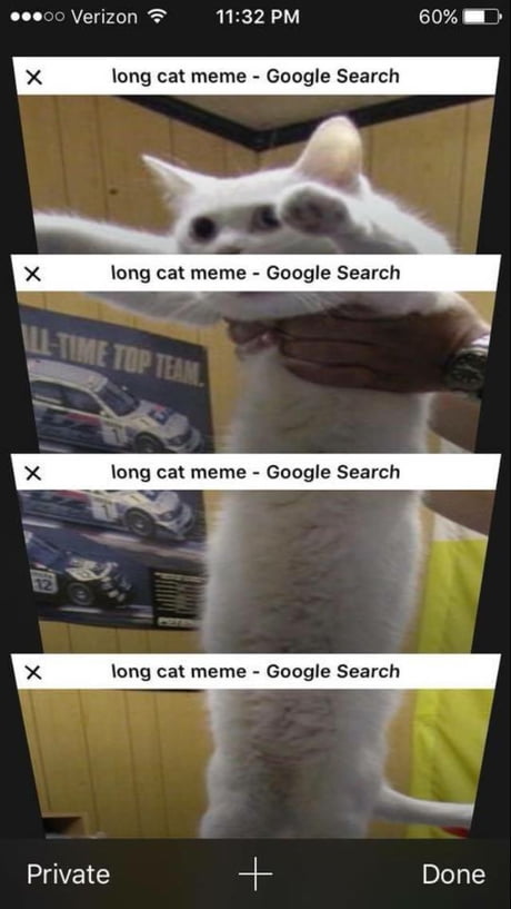 Longcat Is Long Meme