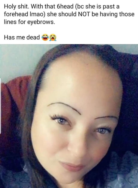 Shiny Forehead Memes Siamese Cat With Shiny Black Fur And Large Ears