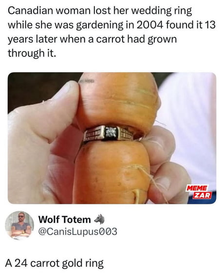 Fake Ring Memes Women Share What They Think About Their Engagement