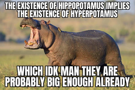 Best Funny hippopotamus Memes - 9GAG