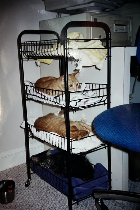 Best Funny bunkbeds Memes - 9GAG