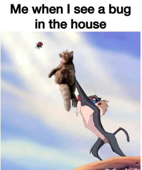 Grumpy Cat Lion King