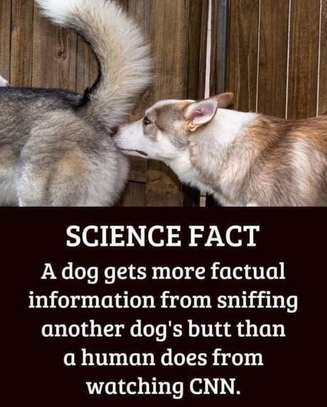 Best Funny sniff Memes - 9GAG