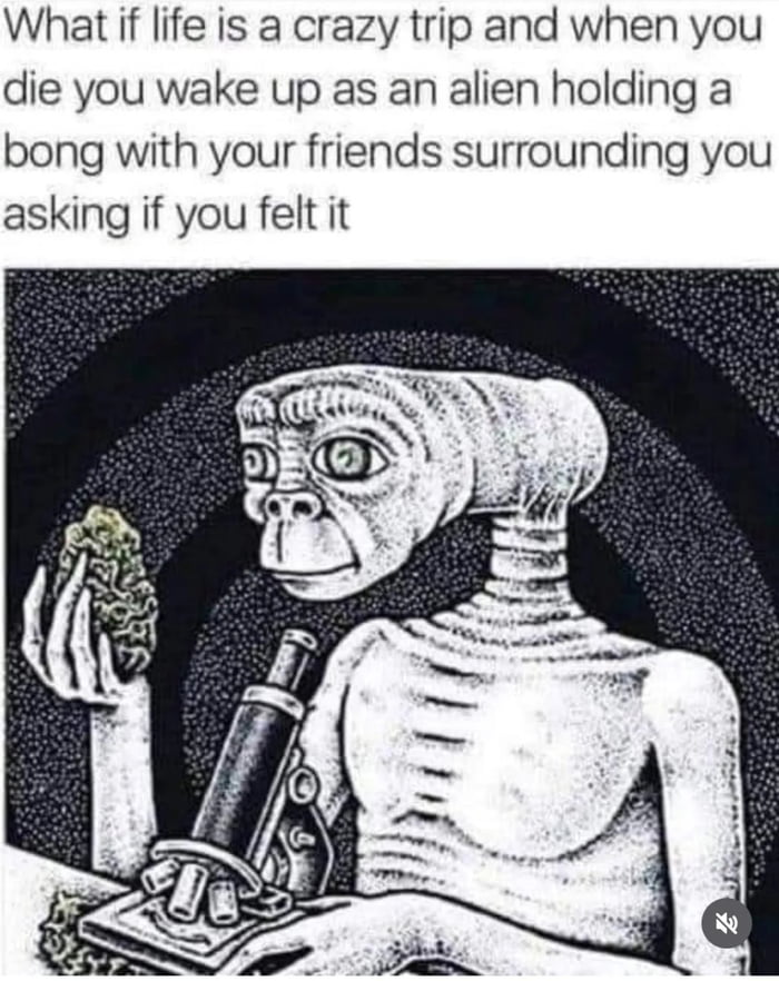 Was it a good or bad trip? - 9GAG