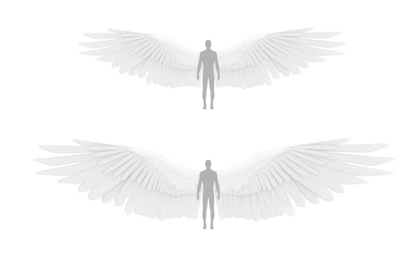 How big an angel's wings have to be to maintain flight. (hollow vs ...