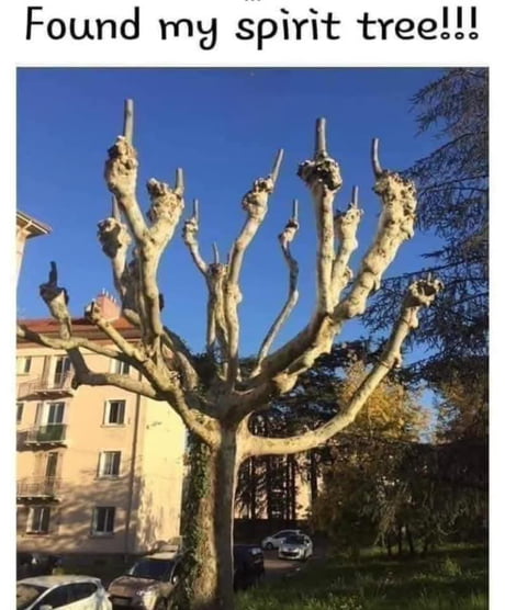 Best Funny fu Memes - 9GAG