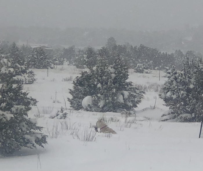 But it’s Spring! 12” of snow today 70 degrees on Wednesday - 9GAG