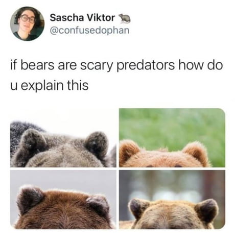 Best Funny predator Memes - 9GAG