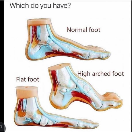 Funny Feet Memes: Feet Memes , Funny feet Meme Generator – IRMT