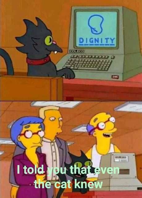 Best Funny dignity Memes - 9GAG