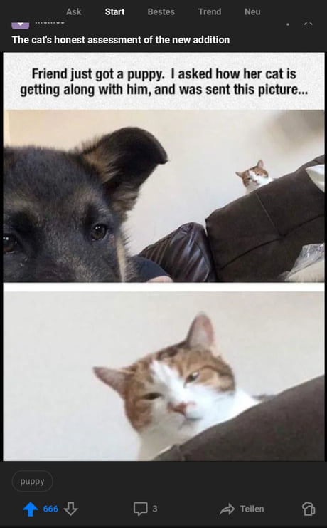 Addition Memes