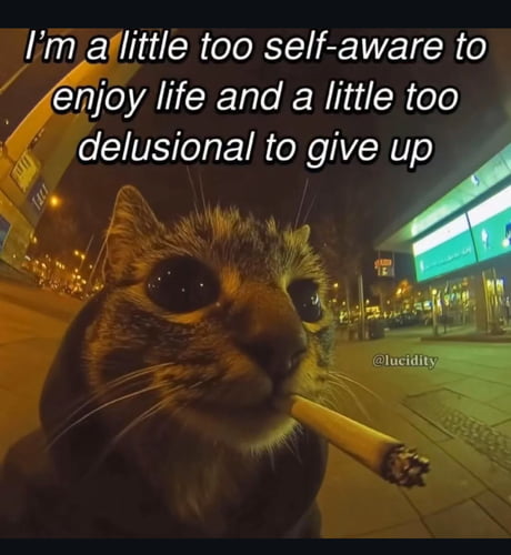 Best Funny delusional Memes - 9GAG