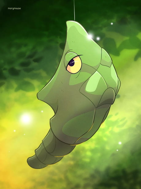 Best Funny chigebu Memes - 9GAG