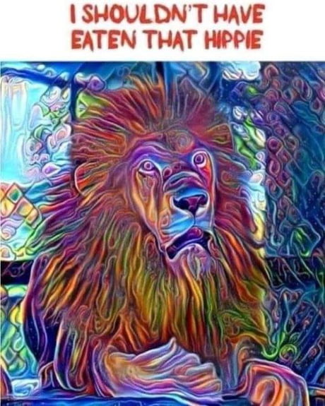 Best Funny lion Memes - 9GAG