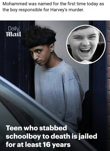 Best Funny murder Memes - 9GAG