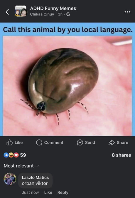 Best Funny tick Memes - 9GAG