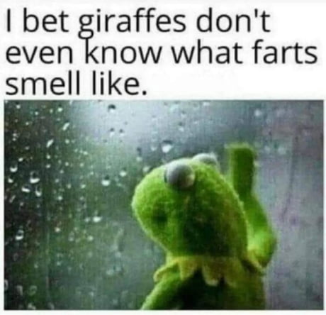 Best Funny giraffe Memes - 9GAG