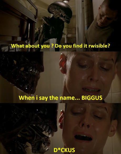 Best Funny monty python Memes - 9GAG