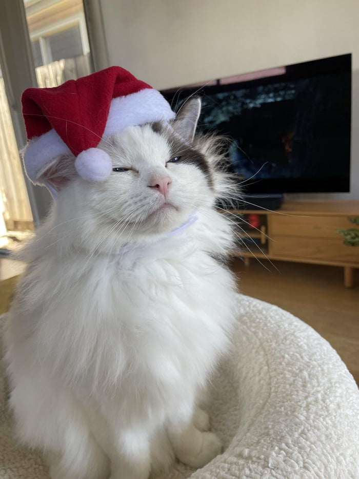 Larry sends his regards from Australia - 9GAG