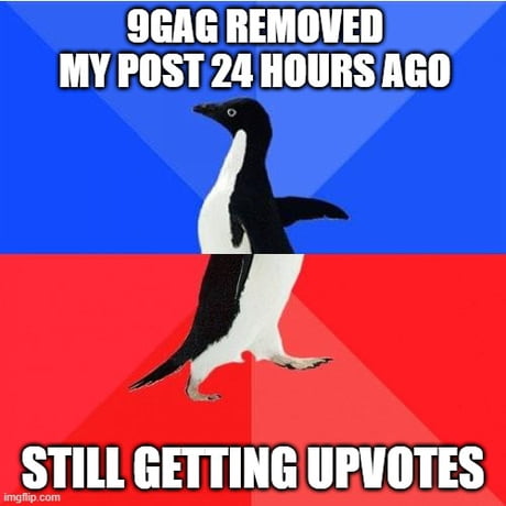 Best Funny ferrari Memes - 9GAG