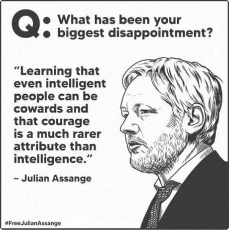 Assange Memes