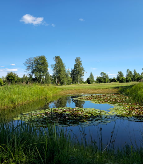 30+ Epic Footages And Pictures Show You How Lit The Nature Is